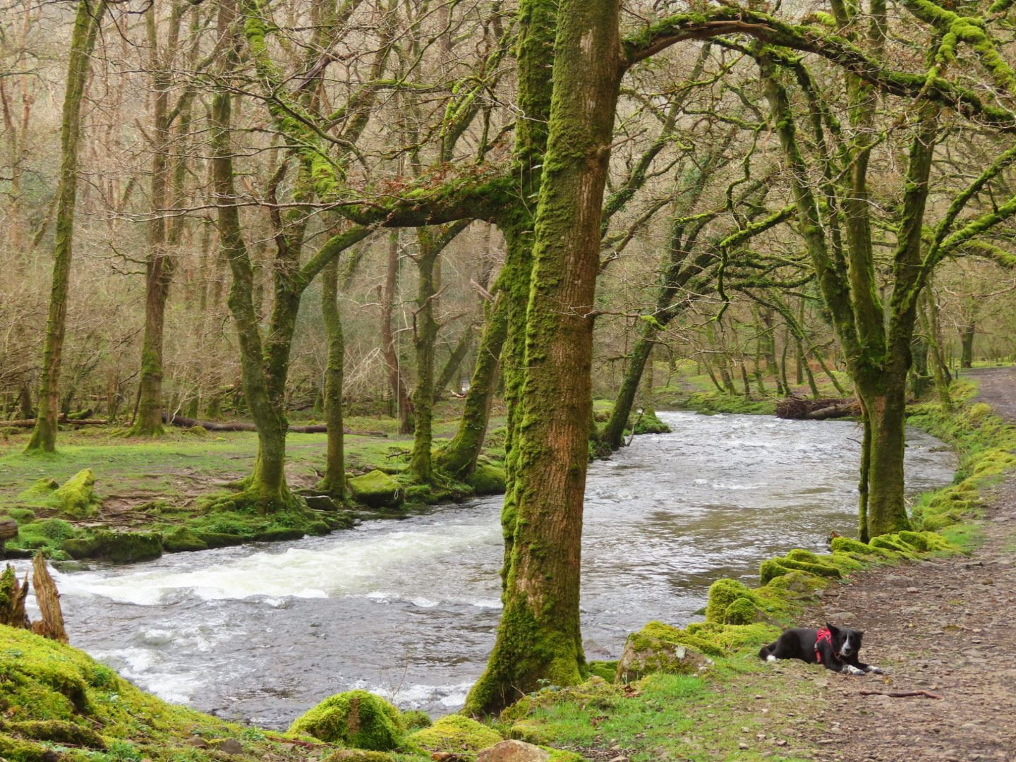 EIGHT YEARS / 130 DAYS: MONDAY 8 APRIL 2024 – Side to Side