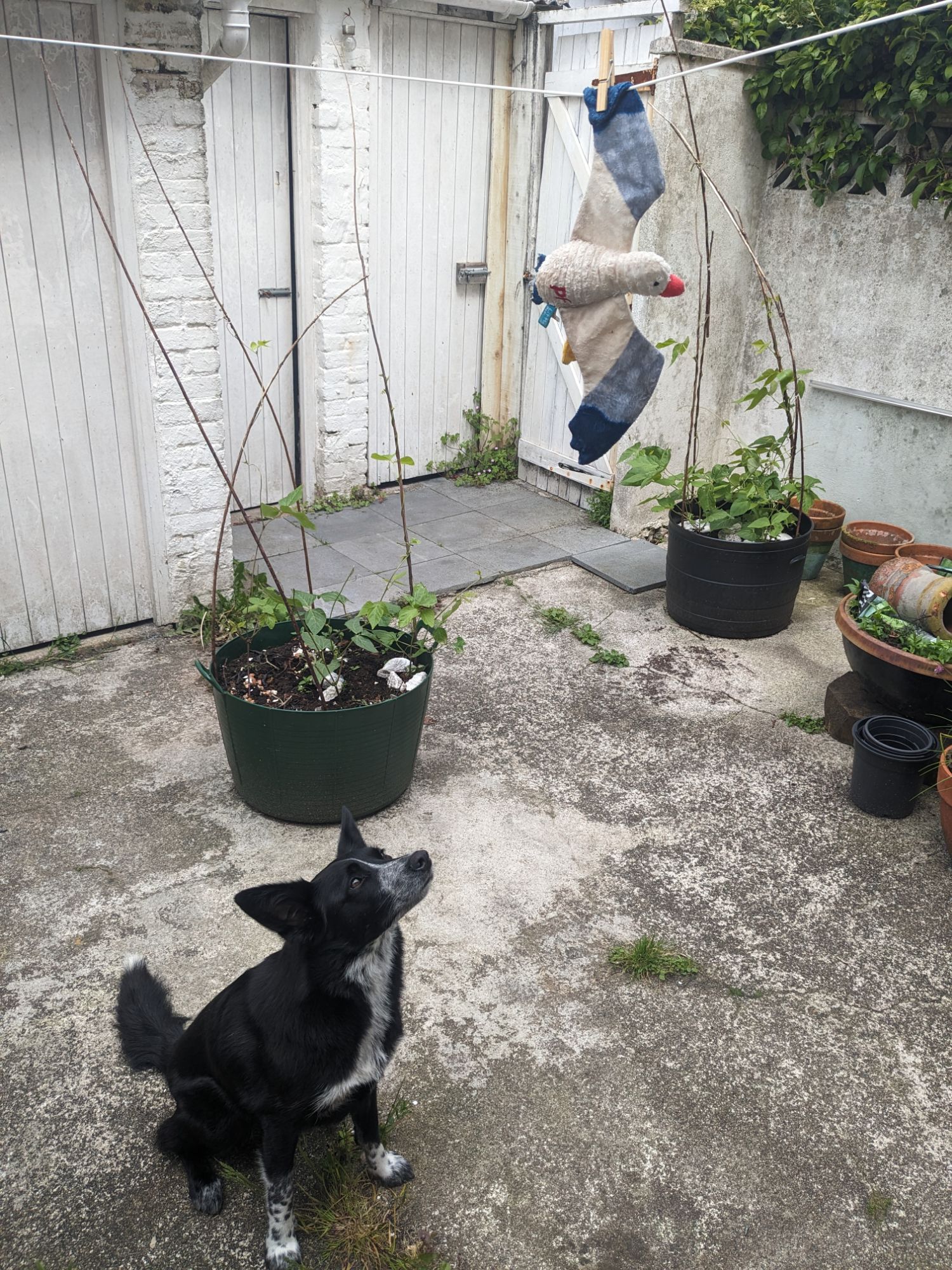 EIGHT YEARS / 186 DAYS: MONDAY 3 JUNE 2024 – Side to Side